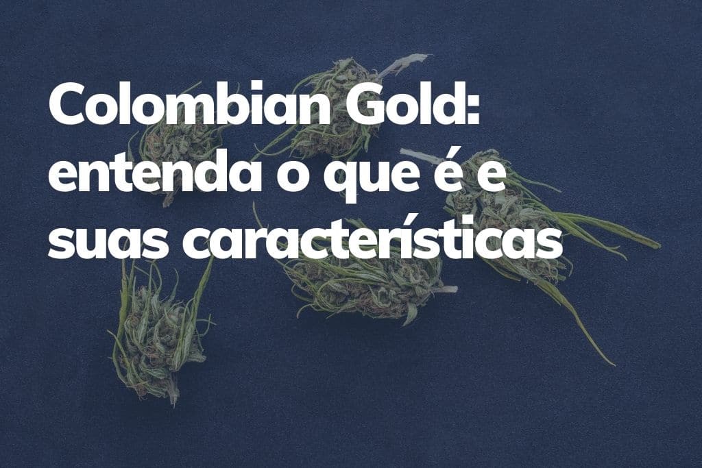 Colombian Gold: entenda o que é e suas características