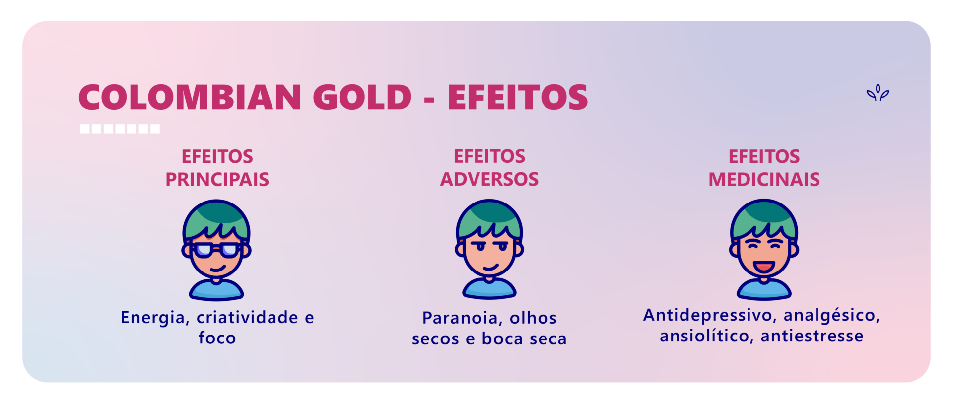 Colombian Gold: entenda tudo sobre o "colombinha"