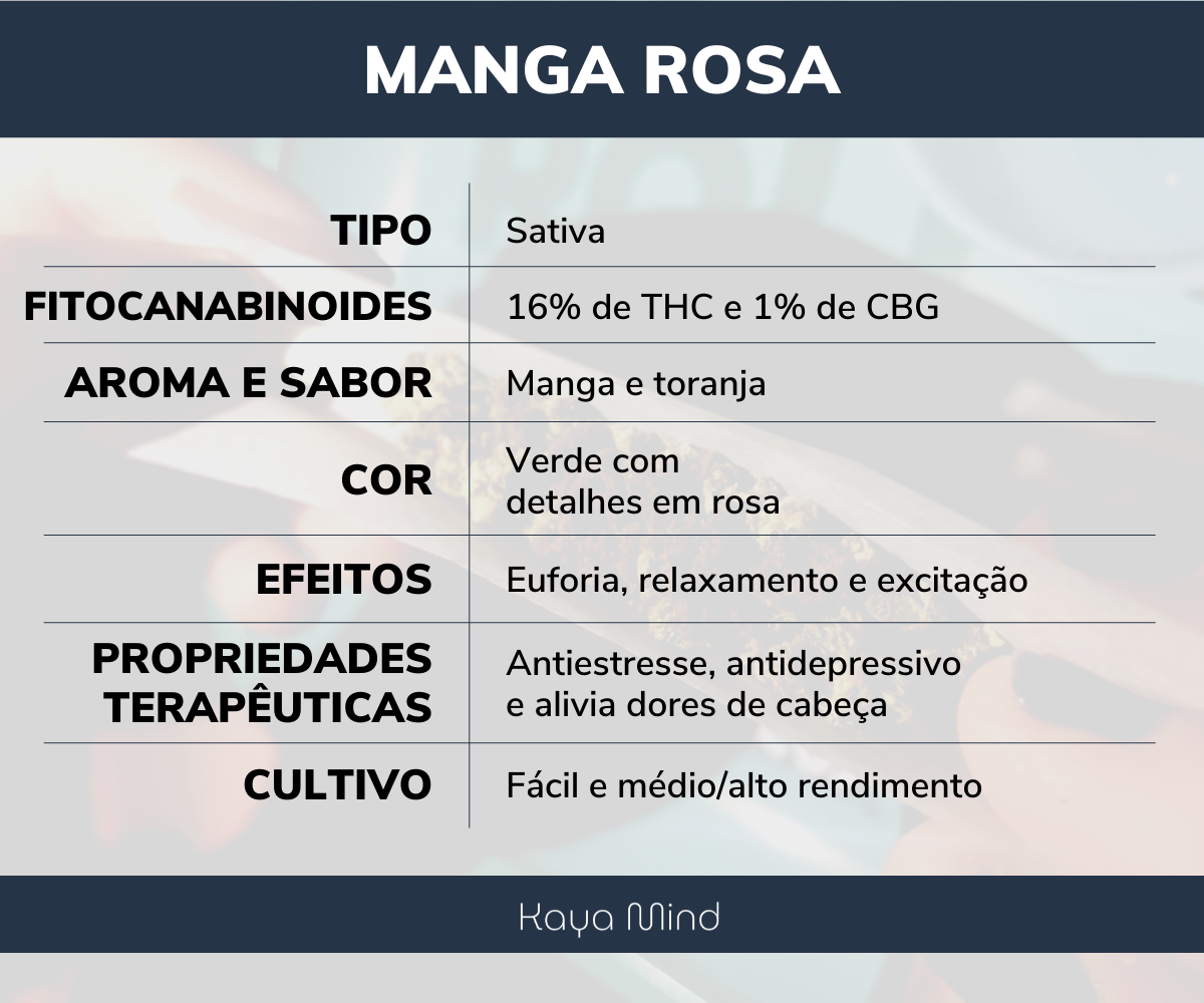 Manga Rosa: conheça a origem, os efeitos e o cultivo dessa strain