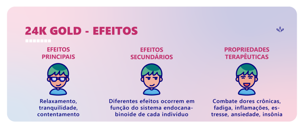 24k Gold: os efeitos, características e formas de cultivo da strain