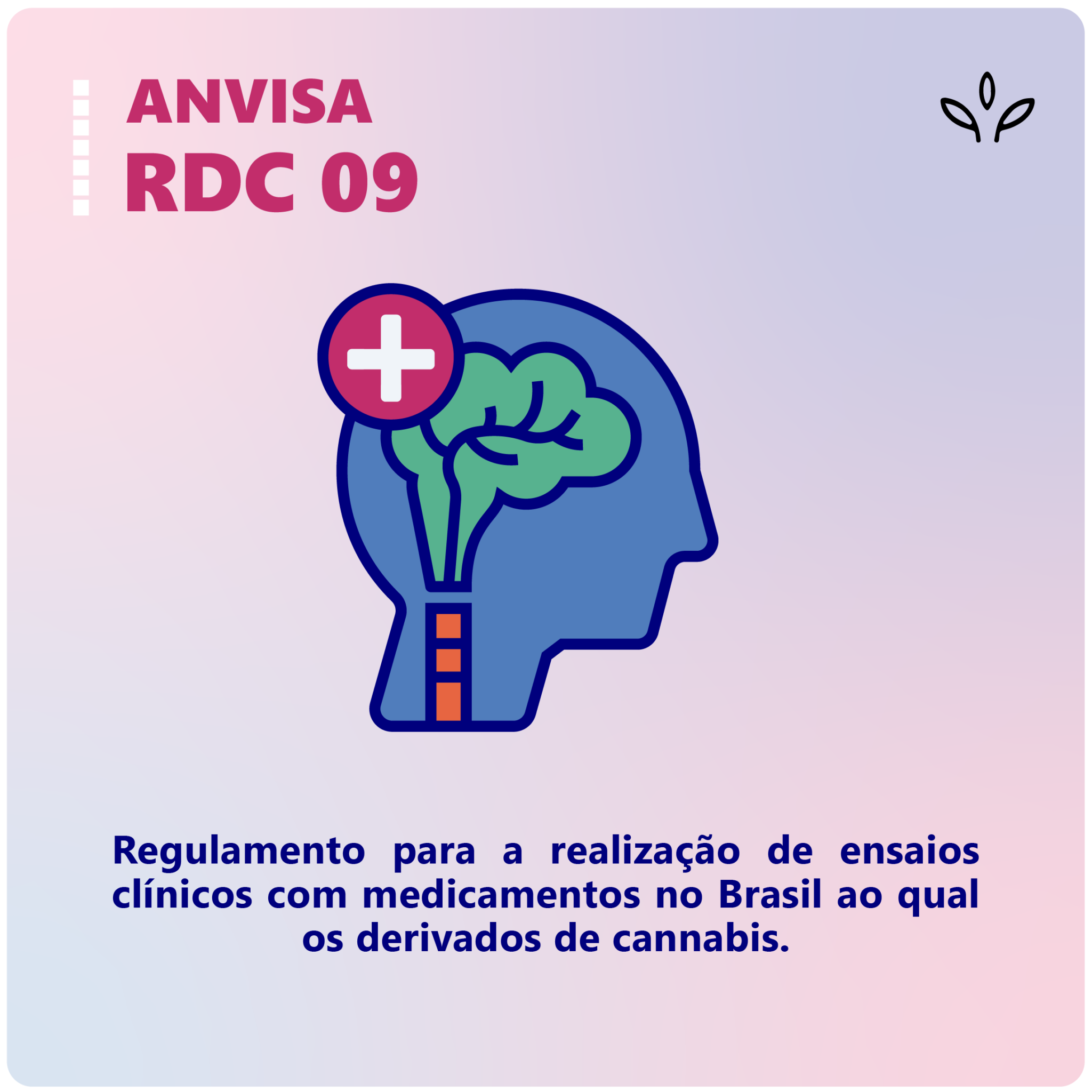 RDCs de cannabis: o acesso ao canabidiol na Anvisa