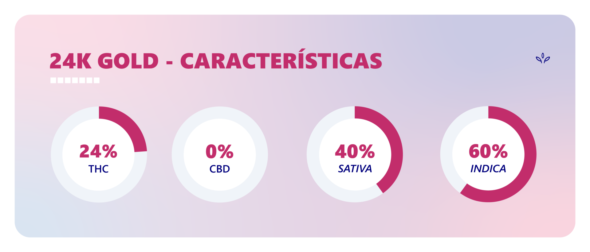 24k Gold: os efeitos, características e formas de cultivo da strain