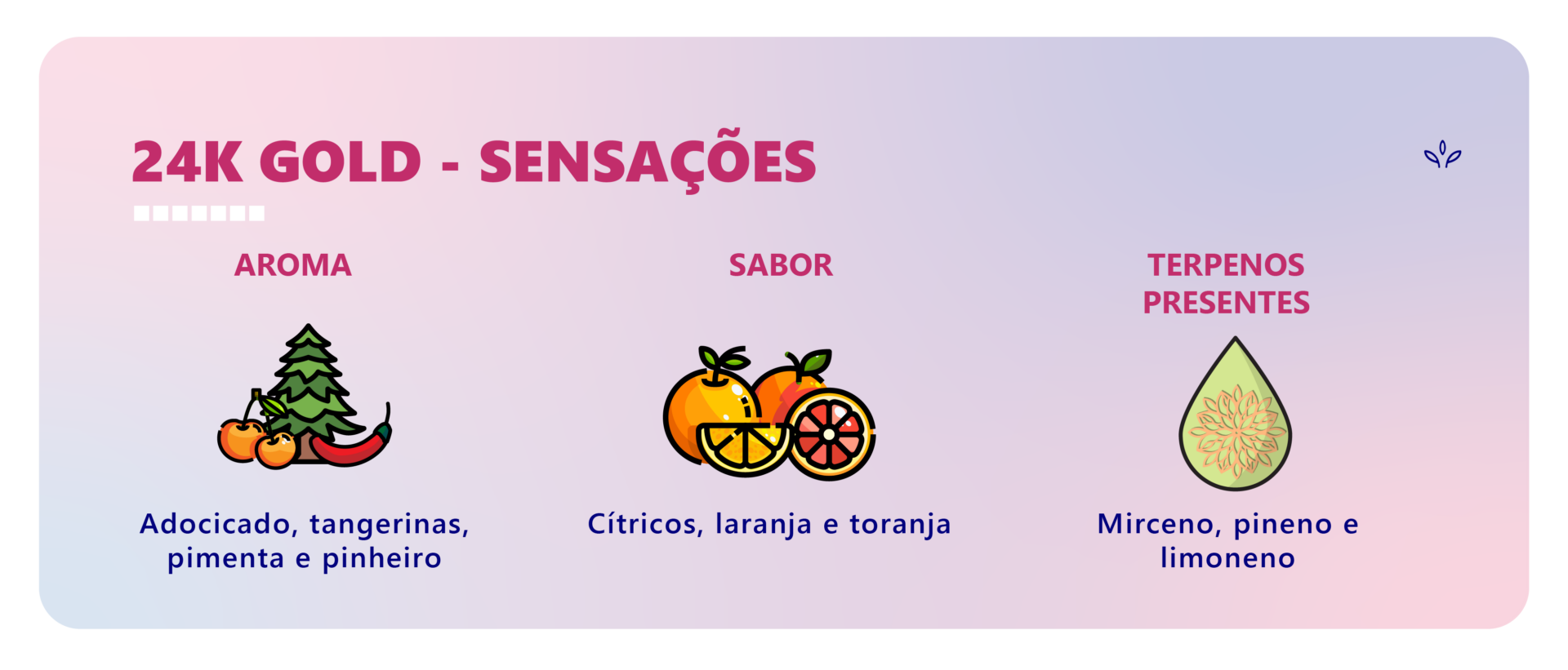 24k Gold: os efeitos, características e formas de cultivo da strain