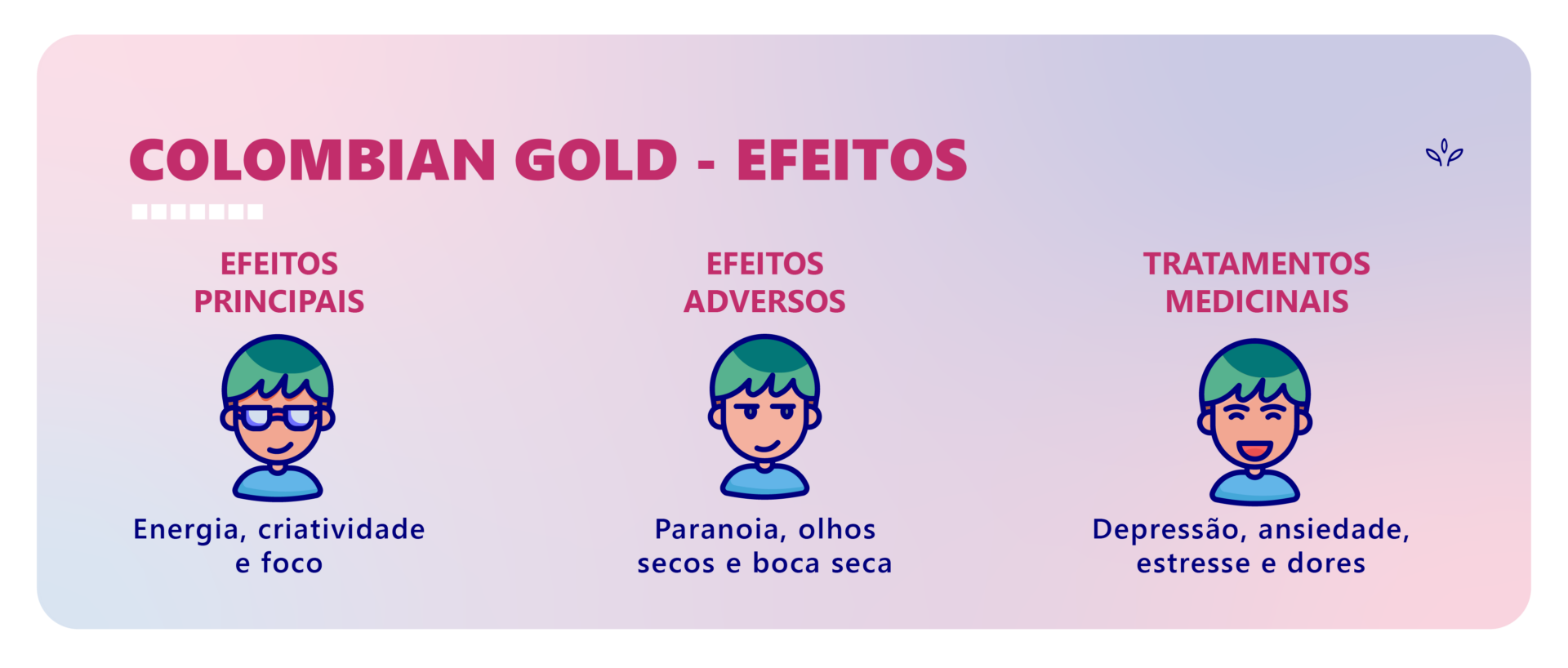 Colombian Gold: entenda tudo sobre o "colombinha"