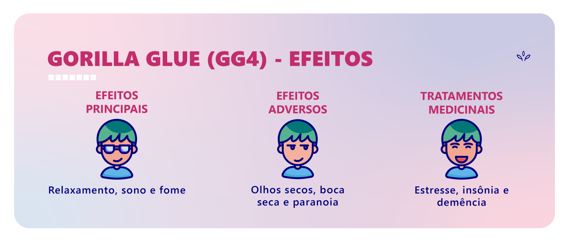 Gorilla Glue (GG4 ou Original Glue): tudo sobre a strain