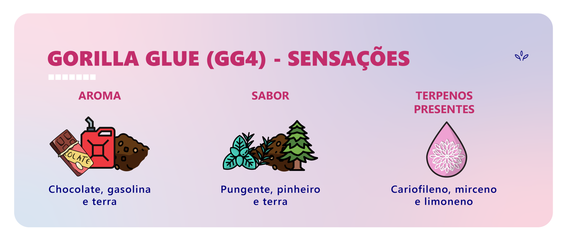 Gorilla Glue (GG4 ou Original Glue): tudo sobre a strain