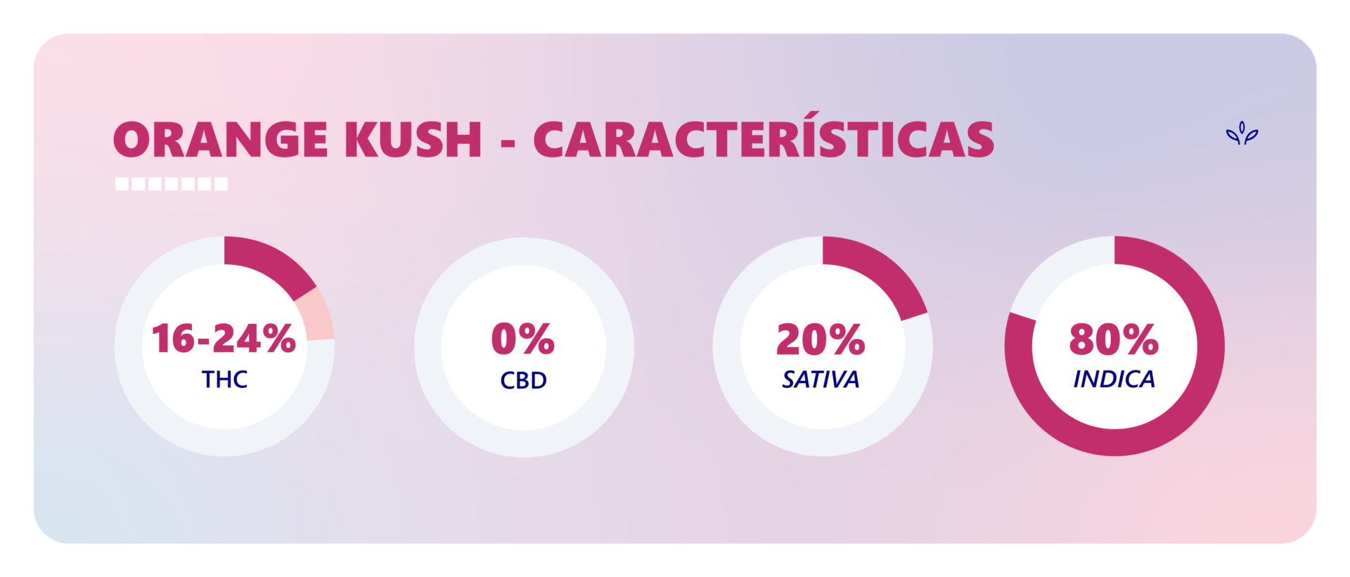 Orange Kush: os efeitos, características e cultivo dessa strain