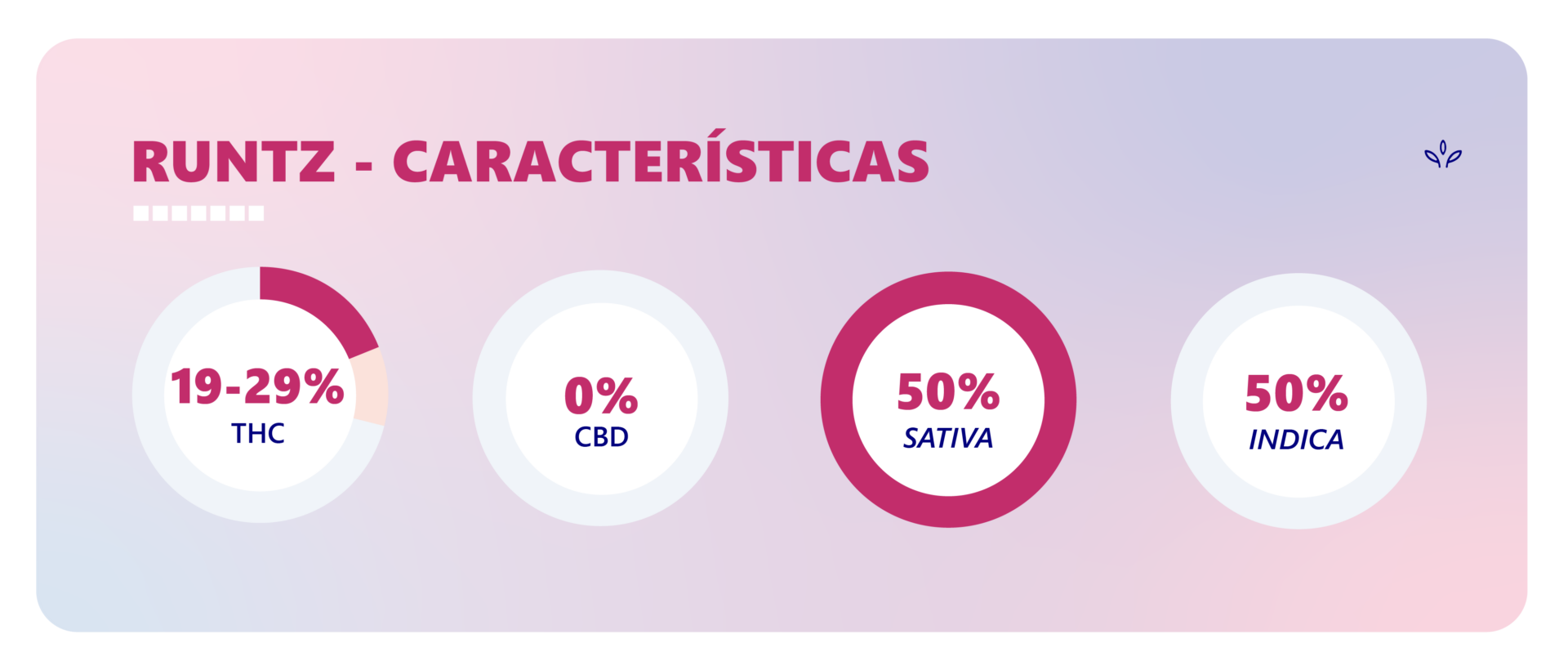 Runtz: os efeitos, características e formas de cultivo da genética