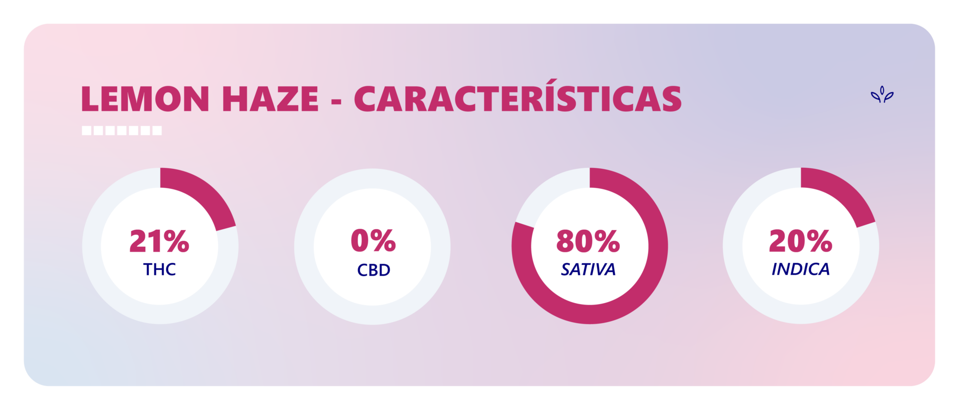 Lemon Haze: efeitos, características e cultivo da strain