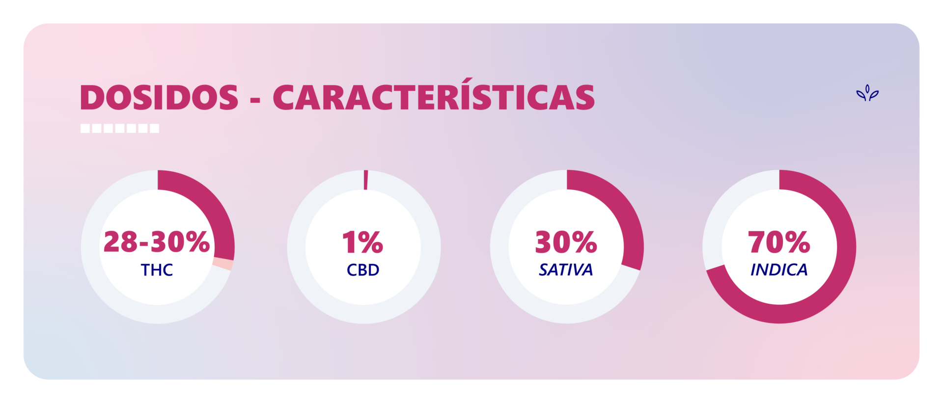 Do-Si-Dos ou Dosidos: efeitos, características e cultivo da strain