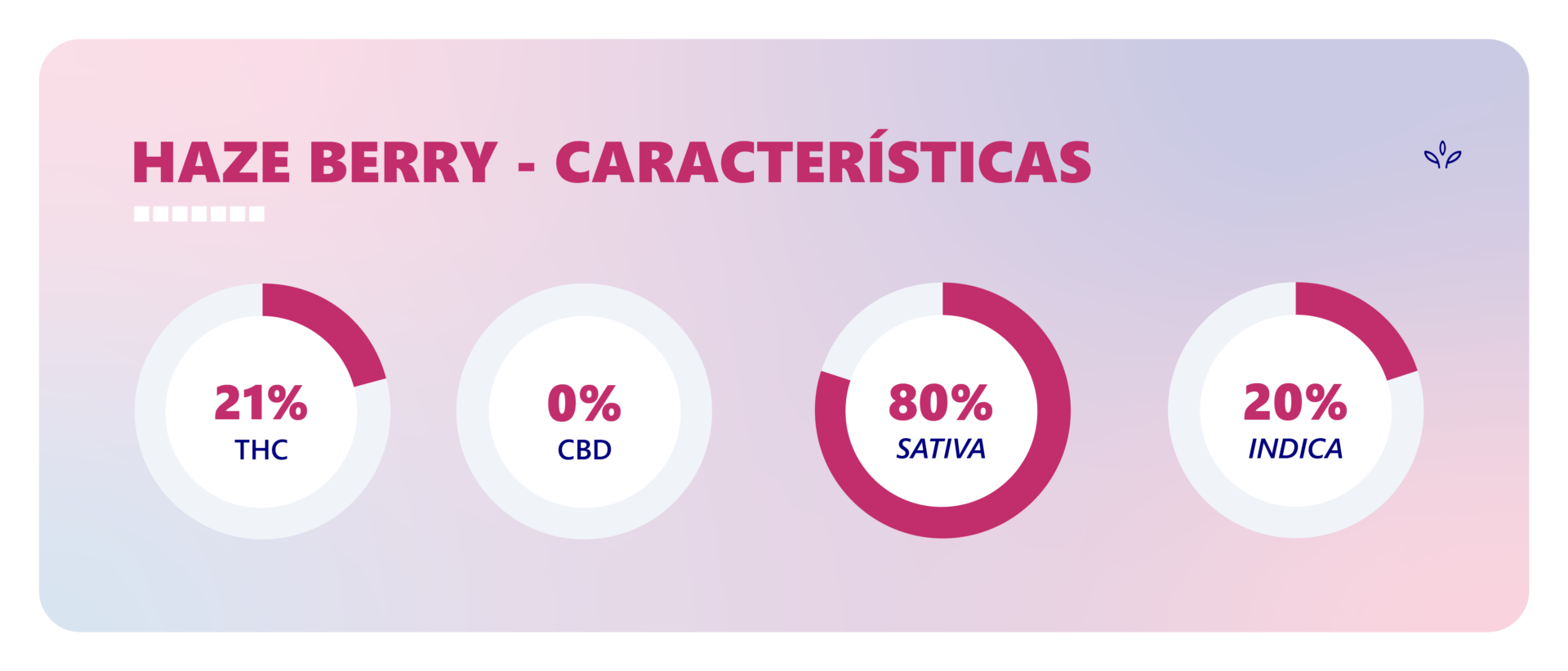 Haze Berry: efeitos, características e formas de cultivo da strain