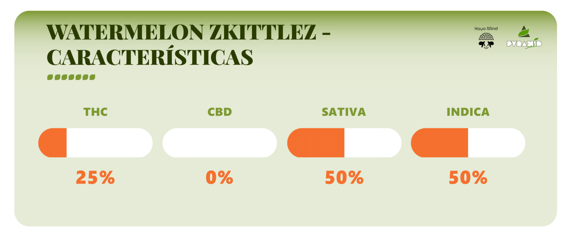 Watermelon Zkittlez: efeitos, características e cultivo da strain