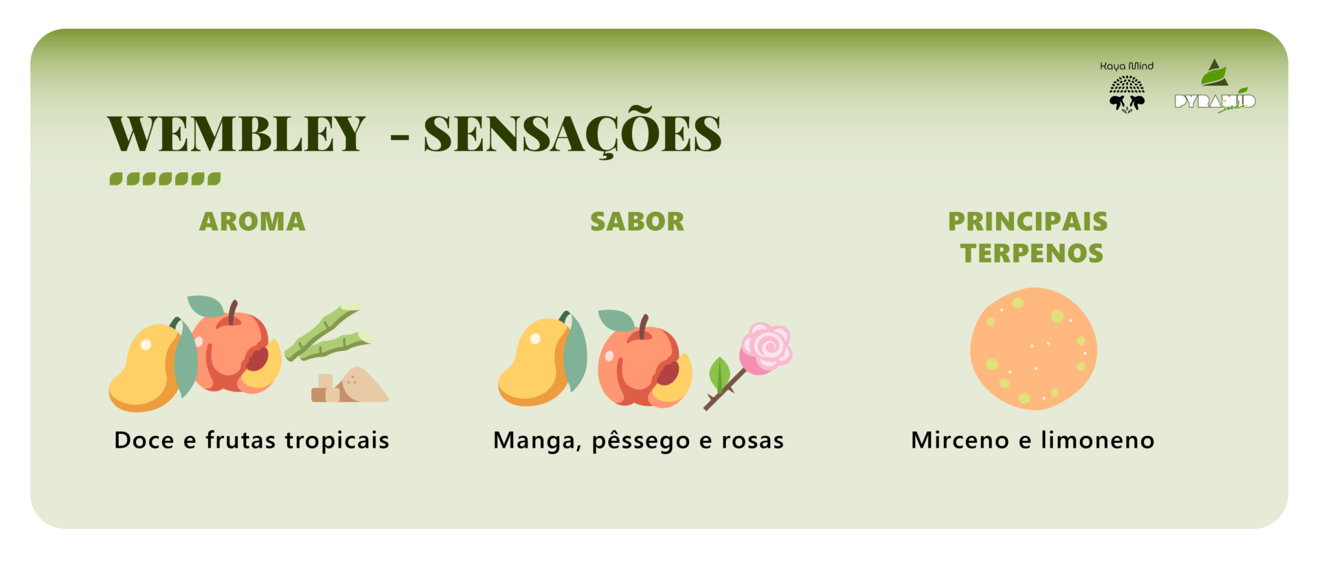CardsWEMBLEY-Sensacoes - Kaya Mind - Informações sobre o mercado da ...