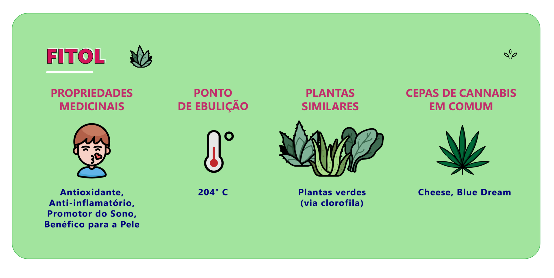 Fitol: conheça o terpeno com propriedades terapêuticas